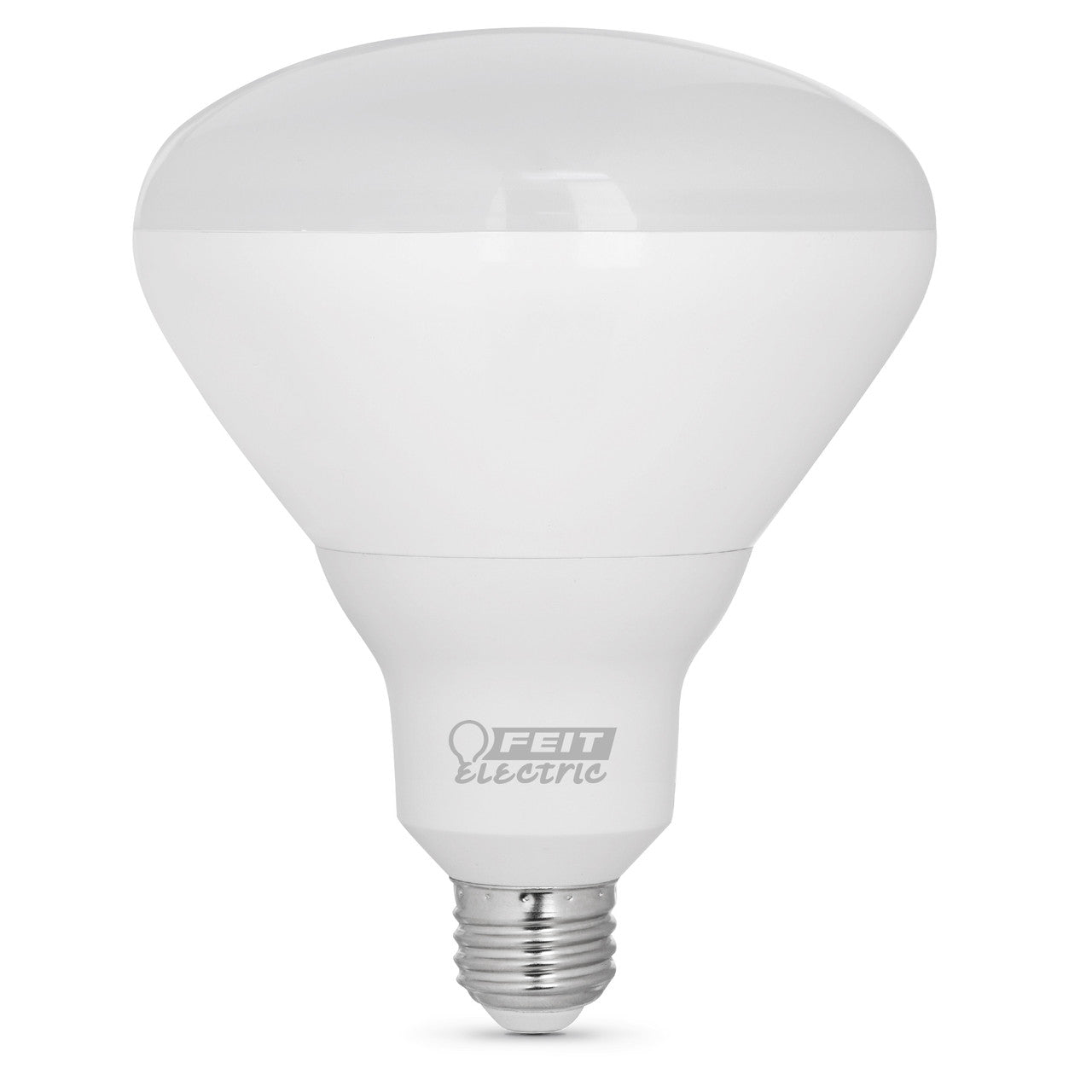 Hayward FEIT 300W 12V Light Bulb – Watershop.ph